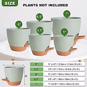 Vanslogreen Plant Pots Indoor 7/6.5/6/5.5/5 Inch Self Watering Planters for Indoor Plants with Drainage Hole, Plastic Flower Pot for Succulents, African Violet (Green)