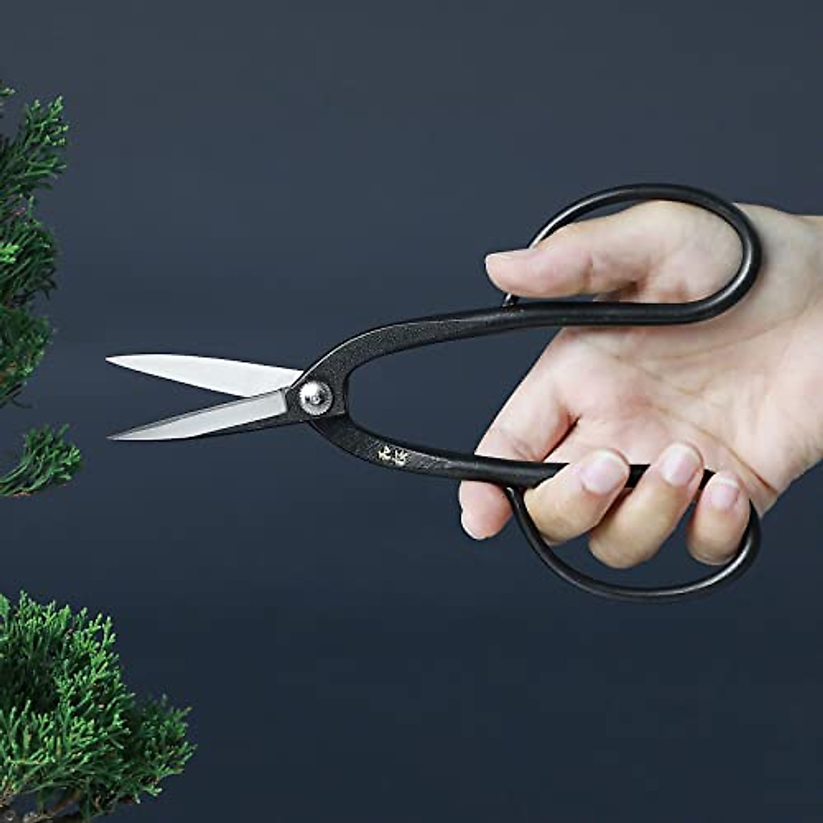 Wazakura Yasugi Steel Made in Japan Ashinaga Bonsai Scissors 8.2 in (210 mm), Pruning Shears, Japanese Gardening Tools - Yasugi Steel Ashinaga
