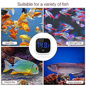 LOFICOPER Digital Aquarium Thermometer, Stick-on Fish Tank Thermometer, Wireless Tank Temperature Sensor with LED Touch Screen, Battery, ℉, for Fresh Water, Tap Water, Marine Water