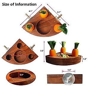 CooShou Hamsters Feeder Bowl Small Animals Guinea Pigs Corner Wooden Feeder Dishes with 3pcs Carrots Cage Feeder for Guinea Pigs, Hamster, Chinchilla Hedgehog Gerbil