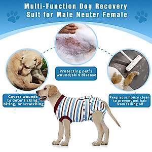 Puptoceed Dog Surgery Rrecovery Suit Dog Onesies for Surgery Recovery Dog Body Suits After Surgery Dog Recovery Suit Surgery Suit for Dogs Dog Surgery Suit Dog Neuter Recovery Suit,M