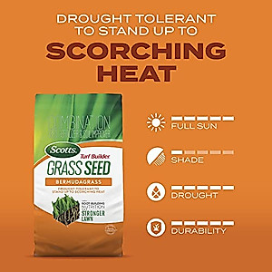 Scotts Turf Builder Grass Seed Bermudagrass Drought-Tolerant to Stand up to Scorching Heat with Root-Building Nutrition, 1 lb.