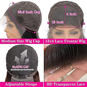 DACHIC 210% Density 13x4 HD 30 Inch Lace Front Wigs Human Hair Pre Plucked Straight Human Hair Wigs for Black Women Glueless Frontal Wigs Human Hair Pre Plucked Free Part with Baby Hair