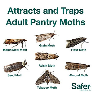 Safer Brand 05140 Pantry Moth Pest Trap and Killer for Grain, Flour, Meal and Seed Moths - 24 Traps