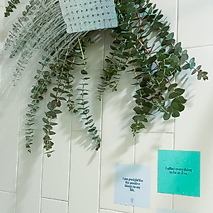 Affirmation Cards for Shower [Waterproof] Self Care Shower Positive Manifest For Women Meditation 14 Daily Motivational Quotes Gift Easy Stick & Remove Shower and Mirror USA Printed