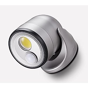 LIGHT IT! by Fulcrum, 33001-101 LED Floodlight, Silver, Single Pack