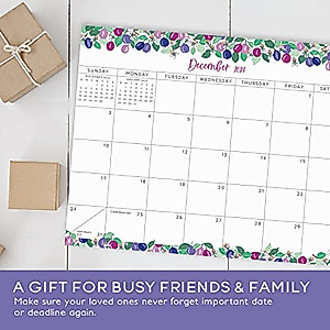 S&O Fruity Magnetic 2023 Fridge Calendar from July 2022-Dec 2023 - Tear-Off Refrigerator Calendar to Track Events & Appointments - 18 Month Magnetic Calendar for Fridge for Easy Planning - 8"x10" in.