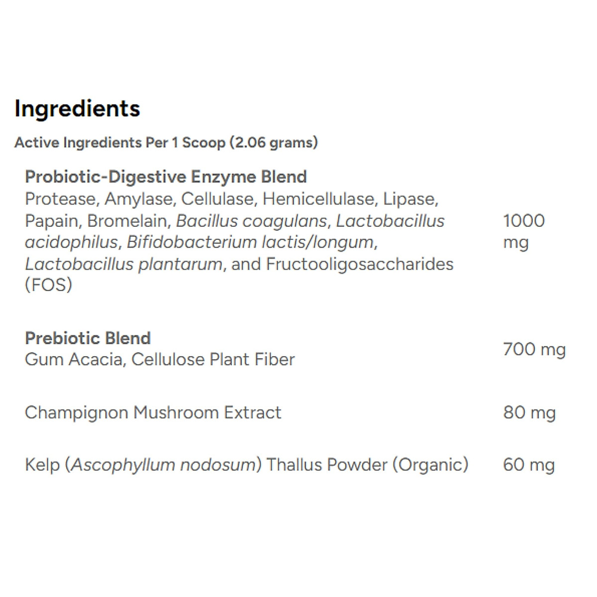 Dr. Marty ProPower Plus Gut Health Supplement Powdered Formula 2.2 Oz Jar