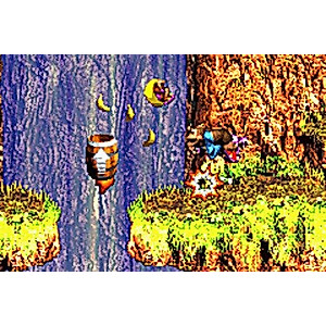Donkey Kong Country 3 (Renewed)