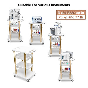 Beauty Salon Furniture Trolley Spa Styling Pedestal Rolling Cart 4 Shelf Abs Aluminum Elitzia ETTRO5