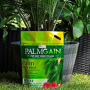 BGI Fertilizers Palmgain Bag, Palm Tree Fertilizer, Ferns, Cycads, Ixora, 2 lb