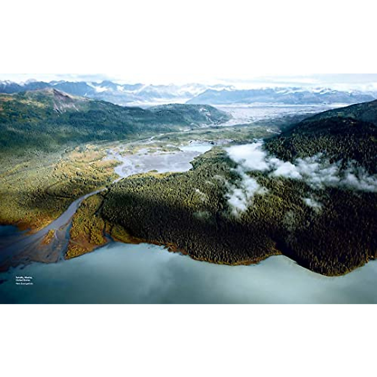 Coastlines: At the Water's Edge