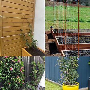 KINGLAKE GARDEN Flexible Soft Wire Ties,2.0 MM 65.6 Feet Twist Garden Ties,Heavy Duty Reusable Plant Twist Ties for Support Plants,Office Organization and Home (White)