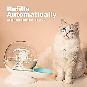 CLICIC Cat Dog Water Dispenser Automatic Water Drinking Fountain for Small or Medium Size Dogs Cats Easy to Clean Snail Shape 2.8L Pink