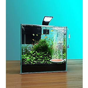 Clscea 4 Inch Air Stone Disc Bubble Diffuser for Aquarium Fish Tank Pump Hydroponics