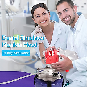 ANNWAH Dental Simulator Manikin Phantom Head - Teaching Mouth Head Model Fix on Chair Replaceable Typodont Tooth Model 360-Degree Adjustment for Dentists & Dental Assistants and Hygienists