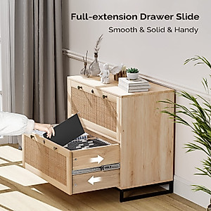 VINGLI Wood Rattan 2-Drawer Lateral File Cabinet with Lock for Home Office, Lockable Filing Cabinet with Rustic Metal Handles for Hanging Letter/A4/Legal Size Labeled Folders, Oak, 30W x 16D x 28H