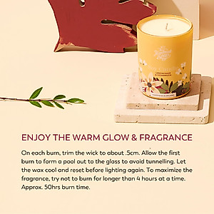 The Handmade Soap Company Natural Soy Wax Candle, Lemongrass & Cedarwood Scented Candle, 50 Hour Burn, Non Toxic Candles, Cruelty Free & Vegan Scented Candles, 7.4oz