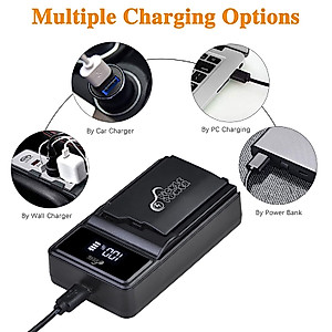 Pickle Power PSP 3001 Battery and LED Display Charger for Sony PSP 2000/3000 PSP-S110 Console, PSP-3001 PSP-3002 PSP-3000 PSP-3004 PSP-2001 PSP-2002 PSP-2003,PSP Lite, PSP Slim