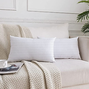 Trendy Home 12x20 Throw Pillow Insert with Extra Removable Satin Pillow Case, Cushion Sham Stuffer Lumbar Support Decorative Home Outdoor Pillow Filler (AquaBlue)