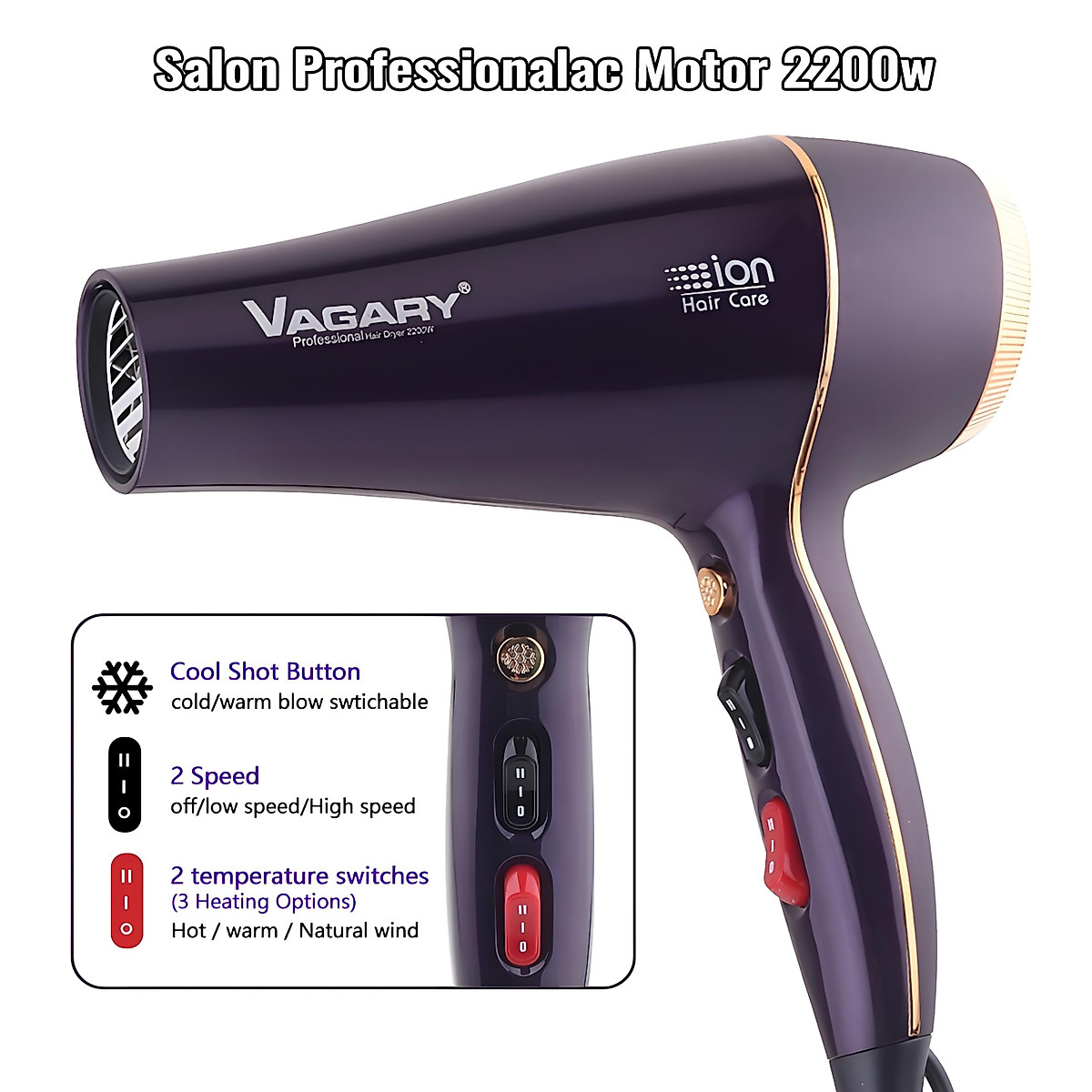 VAGARY 6690A Salon Pro Hair Dryer for Women,2200w Powerful AC Motor Fast Drying, Ionic Blow Dryer for Thick Hair,2 Speeds and 2 Heat Settings 1 Cool Shot Button(1 Diffuser and 1Concentrator)