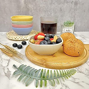 8 Pack Small Bowls, 4.5 OZ Wheat Straw Bowls Soy Sauce Dish, Unbreakable Dessert Bowls, Assorted Colors Dipping Sauce Cups, Small Plastic Bowls Prep Bowls for Side Dishes, Dessert, Snacks, Sauce