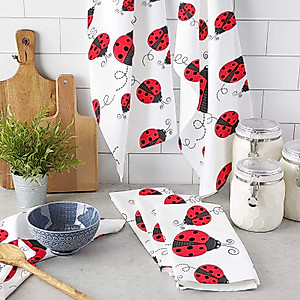 Meet 1998 Red Ladybug Kitchen Towels, Set of 4 Hand Drying Towel, Soft Absorbent Multipurpose Cloth Tea Towels for Cooking Baking, Nature Insect Print Washable Dish Towels Cloth 18x28 Inch