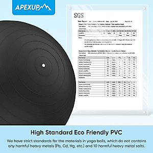 APEXUP Yoga Ball Exercise Ball, Anti Slip Stability Ball Chair, Heavy Duty Large Gym Ball for Fitness, Balance, Core Workout and Physical Therapy (L (23"~26") 65cm, Black)