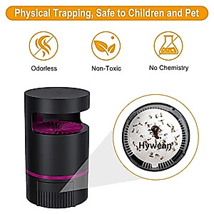 24 Pack Fly Trap Refill Glue Boards Fits for 4.3" Mosquito Traps Glue Boards for Insects Use