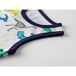 HUAER& Toddler Boys' 2-3 Pack Tank Tops (Dinosaur, 4T)