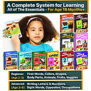 Flash Cards for Toddlers 2-4 Years – Jumbo Learning Box Set with Real Pictures - Alphabet Number Emotions Animal Sight Words Color Shapes – Toddler Flash Cards for Kindergarten Preschool 1st 2nd Grade