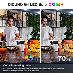 DiCUNO G4 LED Bulbs 12V 1.2W T3 10W Halogen Bulbs Replacement, JC Type G4 Bi-Pin Base Light Bulbs Non-dimmable, Daylight White 6000K, 120 LM for Landscape, Under Cabinet/Counter, RV Lighting, 10PCS