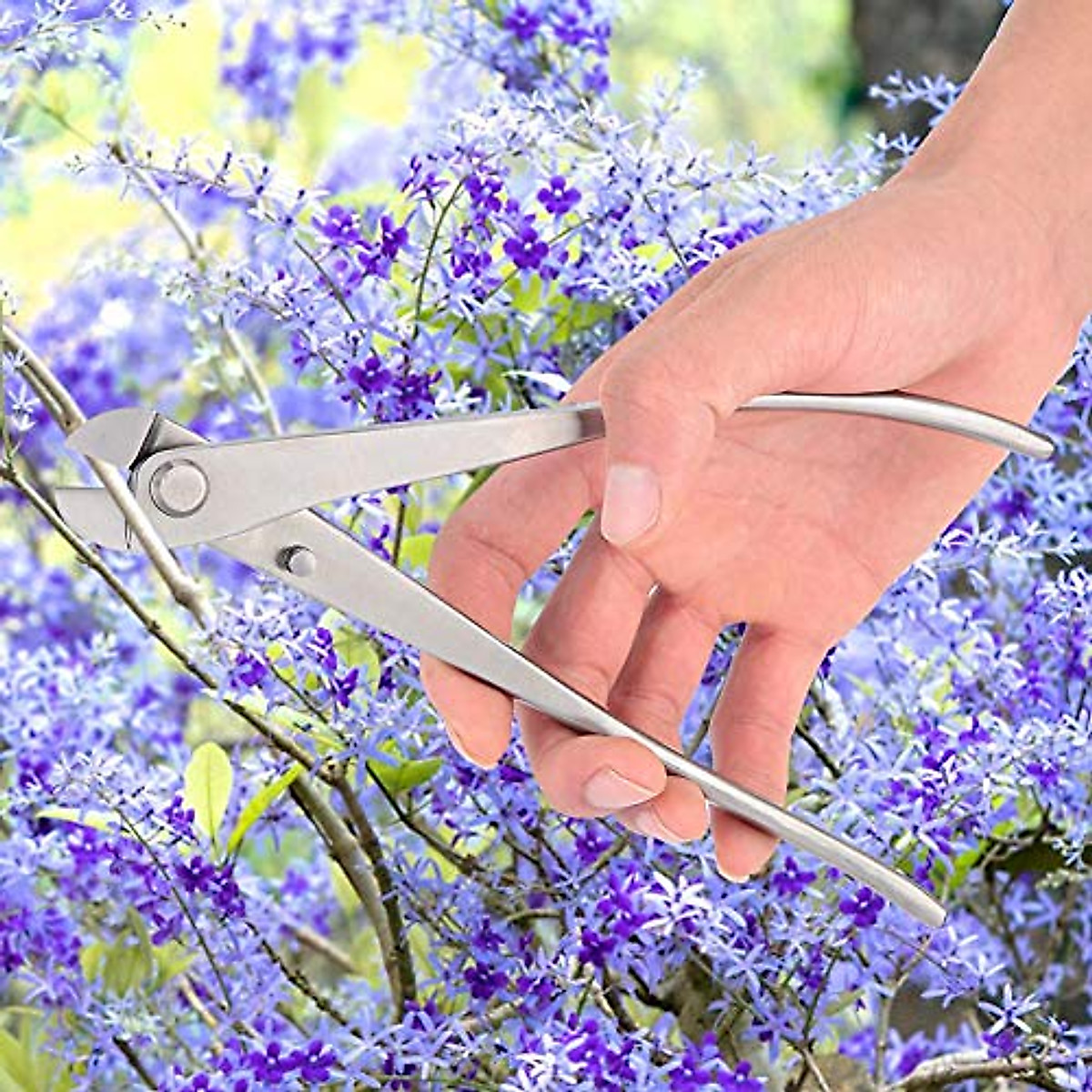 Steel Pruning Shears, 8inch Branch Cutter Shears Gardening Tools Wire Cutters Professional Bonsai Cutter