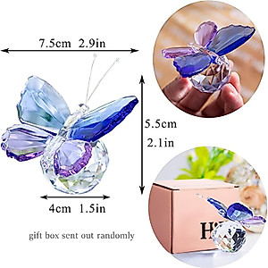 H&D HYALINE & DORA Crystal Cut Butterfly Animal Ornament Decoration for Office Table Home Bedroom