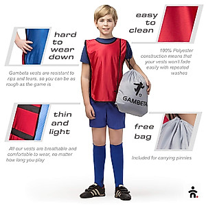 4Gambeta (DB, XL, #13-24) Premium Scrimmage Sport Training Vest - Soccer, Basketball, Football and Hockey Pinnies - Practice and Game Bibs for Kids, Youth and Adults - 12-Pack with Carry Bag