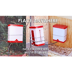 RentACoop 2-Liter(67oz) Heated Poultry Waterer for Chickens/Pigeon/Quail/etc