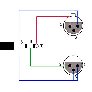 tisino Dual XLR to 3.5mm Stereo Mic Cable, 2 XLR Female to 1/8 Inch Mini Jack Y-Splitter Breakout Lead Microphone Cord - 6.6 feet
