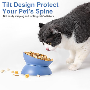 Raised Cat Bowl,Detachable 2 in 1 Cats Elevated Tilted Food and Water Bowls Whisker Stress Free Pet Feeder for Kittens,Puppy and Bunny,Blue