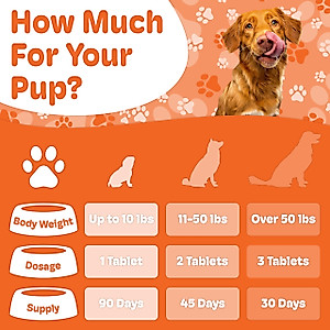 Boneo Canine Maintenance Formula - Lactoferrin-Based Bone and Joint Supplement for Dogs - 90 Ct Dual Pack Chewable Tablets, Liver and Sausage Flavor