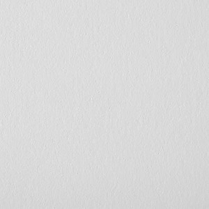 New York Central Watercolor Paper Sheets, 16x20 Inch, 140lb Hot Press, Pack of 10 - Professional Grade, Acid-Free, Archival - for Wet and Dry Media