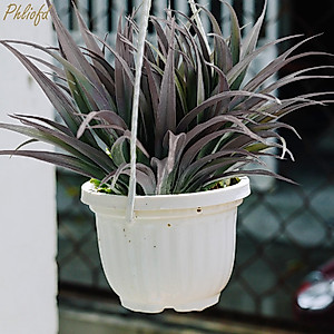 Phliofd 6Pcs Artificial Grass Fake Plants 17.3in Outdoor Plants UV Resistant Faux Greenery Stems Fake Grass for Home Window Garden Office Patio Pathway Front Porch Halloween Décor Green & Black