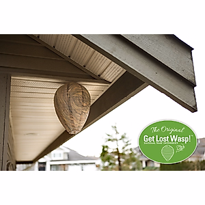 Get Lost Wasp Model 900 Wasp Repellent, Original Version