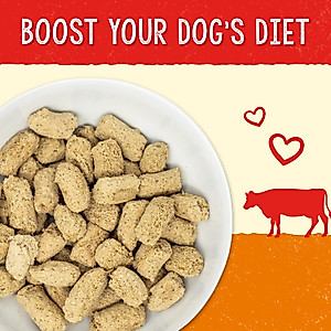 Stella & Chewy's – Stella’s Solutions Digestive Boost – Grass-Fed Beef Dinner Morsels – Freeze-Dried Raw, Protein Rich, Grain Free Dog Food – 13 oz Bag