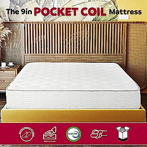 Primo International Solar 9" Pocket Coil Mattress in a Box, Full
