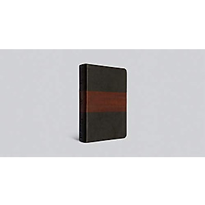 ESV Large Print Personal Size Bible (TruTone, Forest/Tan, Trail Design)