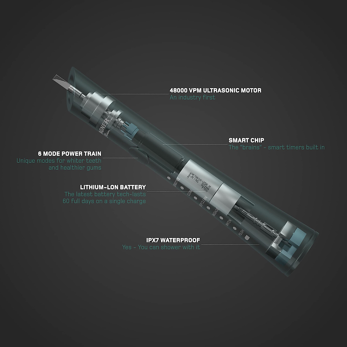 Wagner Stern ultrasonic whitening Electric Toothbrush with 8 Charcoal Black Brush Heads. for Fresh Breath & Healthy Smile. (Green)