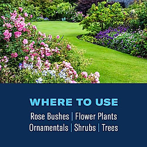 BioAdvanced 3-in-1 Insect, Disease & Plant Mite Control, Ready-to-Spray, 32 FOZ