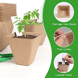 KOAMLY 150 Pack 3.15 Inch Square Peat Nursery Pots, Herb Seed Nursery Pot Kits, Seedling Pots, Outdoor Garde