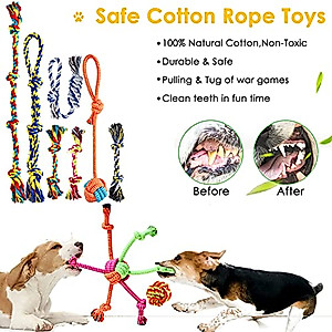 Aipper Dog Puppy Toys 20 Pack, Puppy Chew Toys for Fun and Teeth Cleaning, Plush Squeaky Toys, Dog Treat Dispenser Ball, Tug of War Toys, Puppy Teething Toys, Dog Rope Toys for Medium to Small Dogs