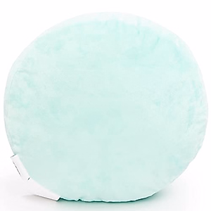 Jay Franco Bluey Shaped Decorative Pillow - Kids Super Soft Throw Plush Pillow - Measures 13 Inches (Official Bluey Product)